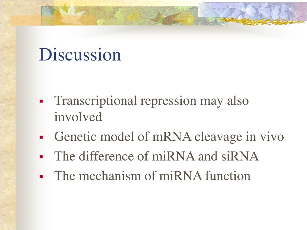 PPT - MicroRNA-Directed Cleavage of HOXB8 mRNA PowerPoint Presentation ...