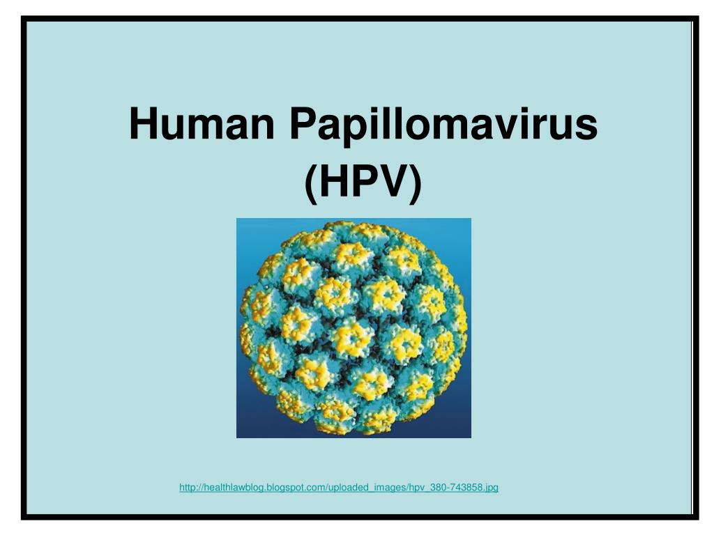 PPT - Human Papillomavirus (HPV) and Cancer PowerPoint Presentation ...