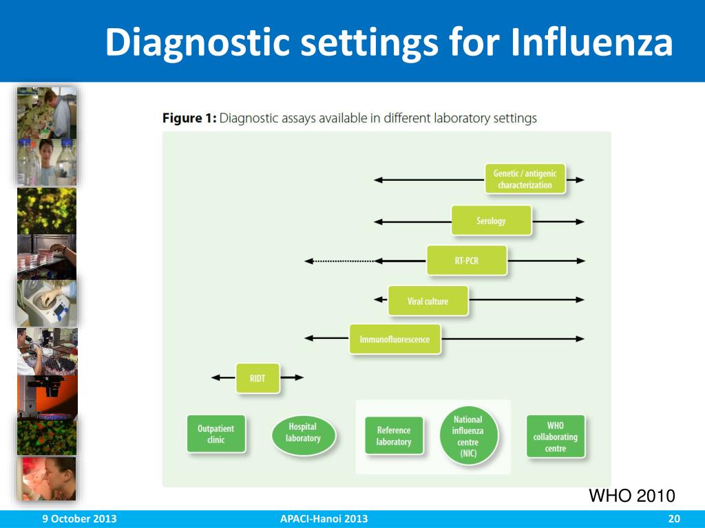 PPT - Diagnosis and Management of Influenza PowerPoint Presentation ...