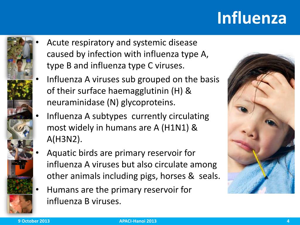 PPT - Diagnosis and Management of Influenza PowerPoint Presentation ...