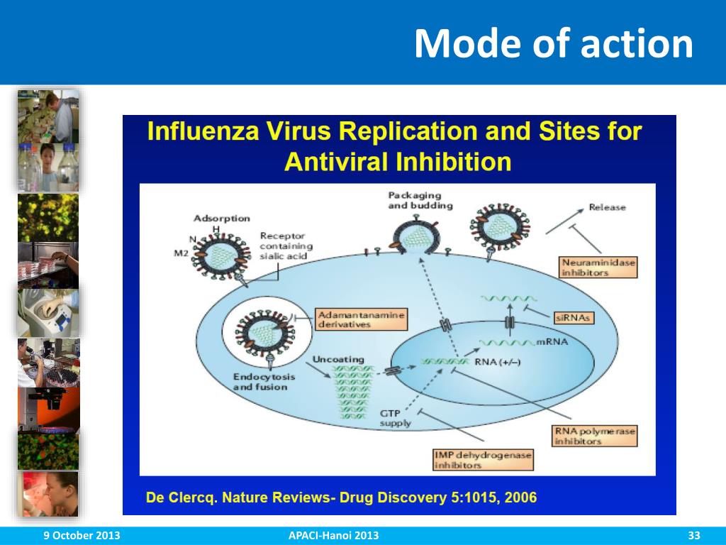 PPT - Diagnosis and Management of Influenza PowerPoint Presentation ...