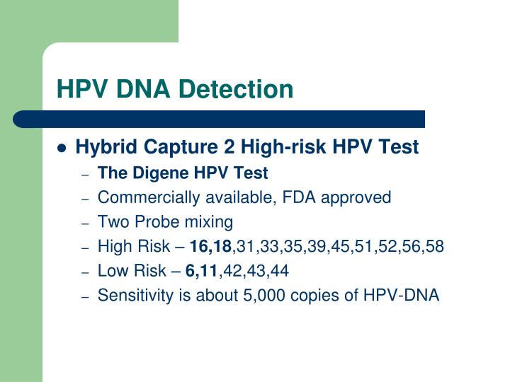 PPT - Pap Smear, HPV and HPV Vaccine PowerPoint Presentation - ID:3310958