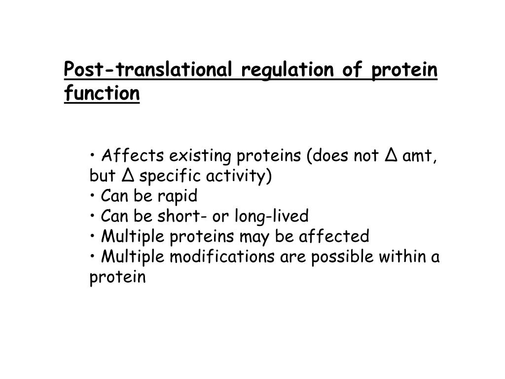 PPT - This class: Regulation of protein activities (1) What is a ...