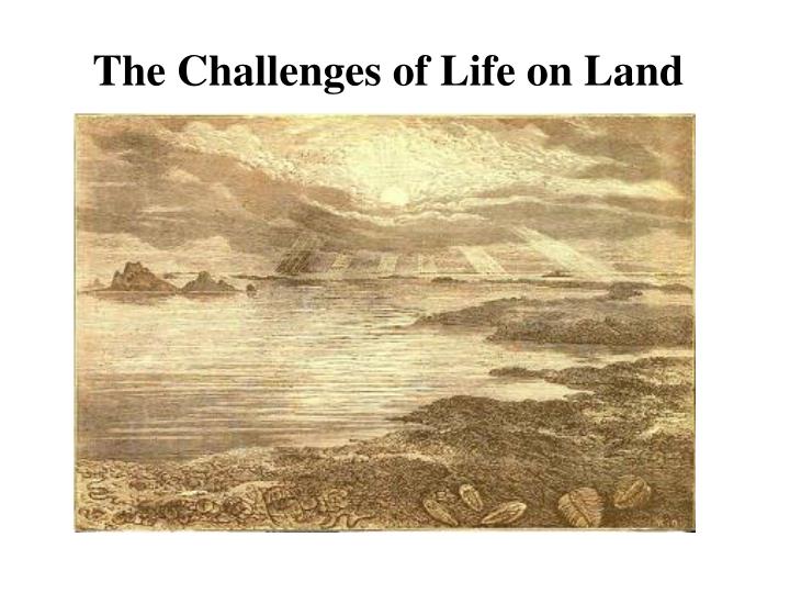 PPT - The Challenges of Life on Land PowerPoint Presentation, free ...