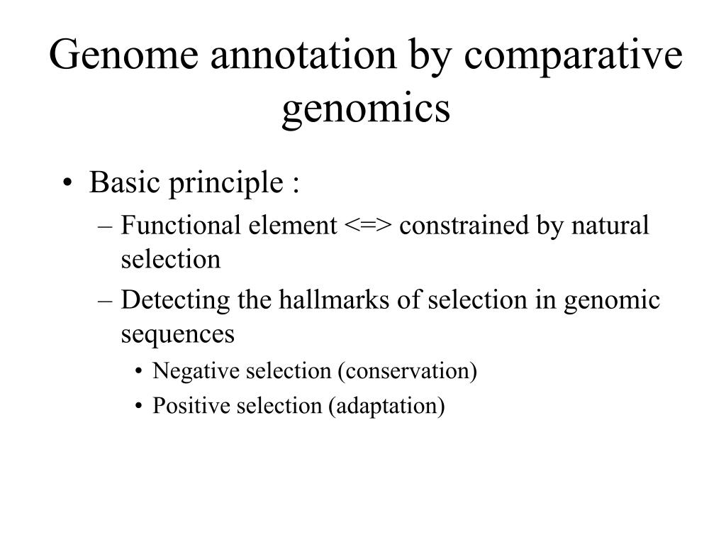 PPT - Analyse comparative des génomes de primates: mais où est donc ...