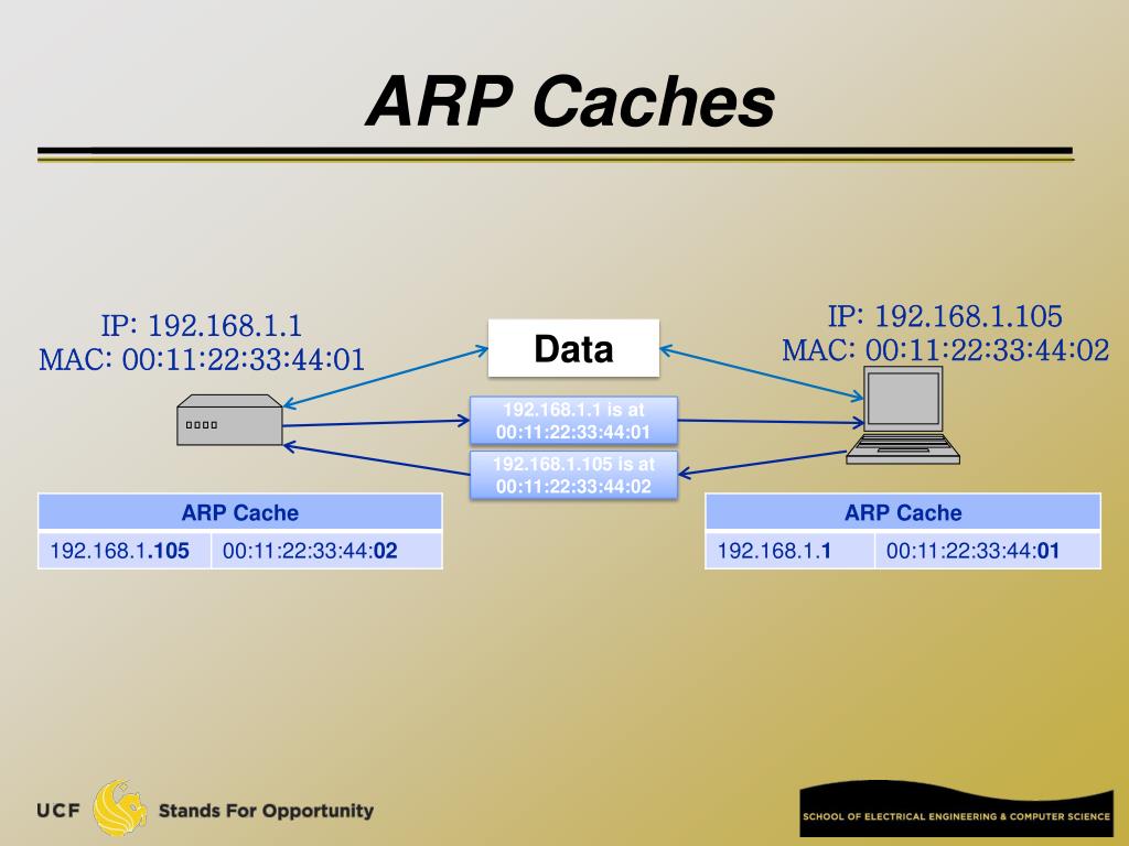 PPT - CIS3360: Security in Computing Chapter 5 : Network Security I ... PPT - CIS3360: Security in Computing Chapter 5 : Network Security I ...