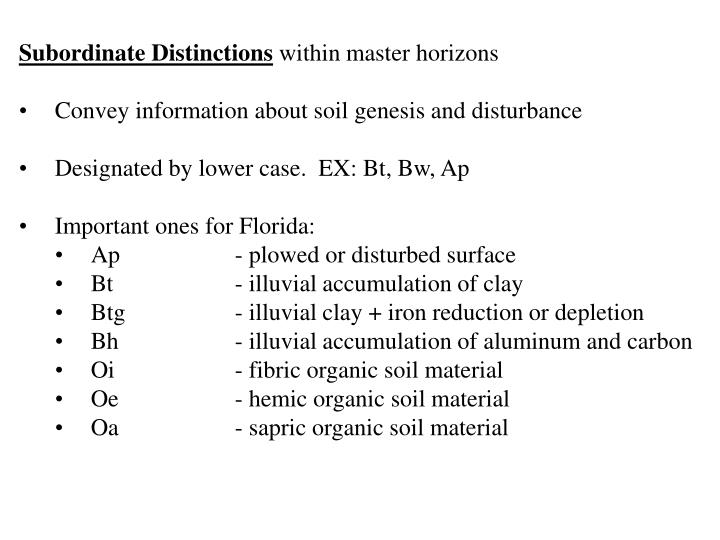 PPT - Soil Morphology PowerPoint Presentation - ID:3311535