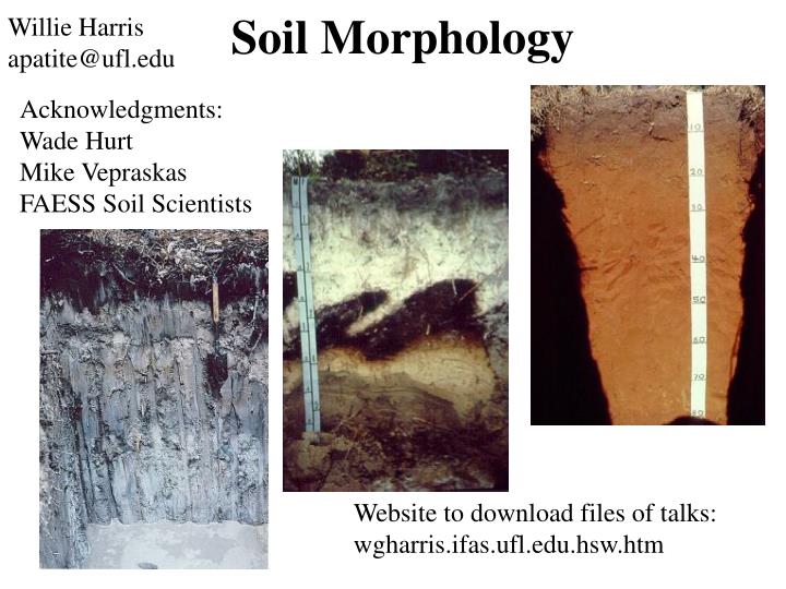 PPT - Soil Morphology PowerPoint Presentation, free download - ID:3311535