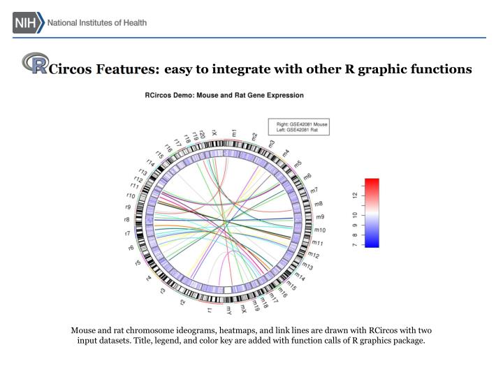 PPT - Circos: Circos Plot with R PowerPoint Presentation - ID:3312122