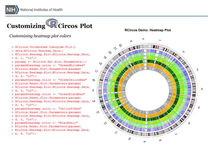 PPT - Circos: Circos Plot with R PowerPoint Presentation - ID:3312122