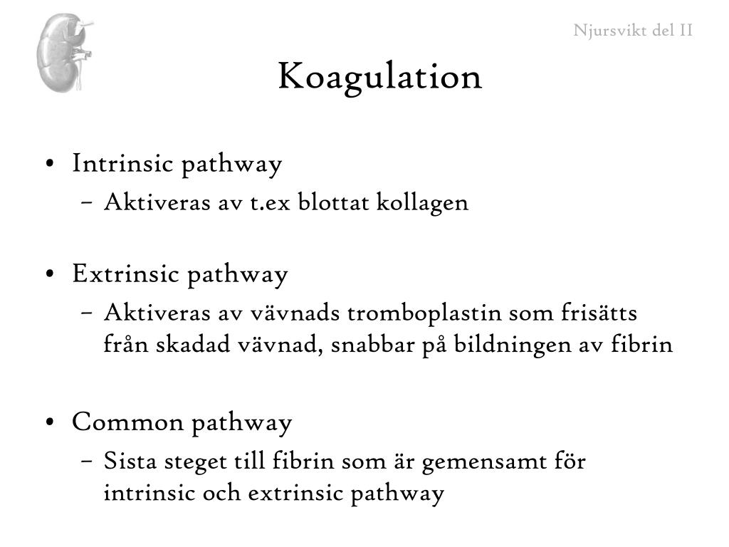 PPT - Njurfysiologi och behandling av njursvikt PowerPoint Presentation ...