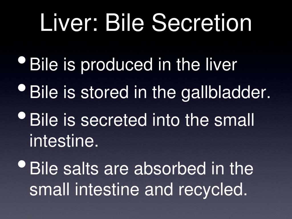 PPT - GI Physiology V: The Liver and Pancreas PowerPoint Presentation ...