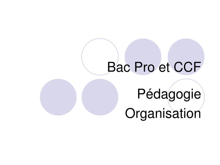 PPT - Bac Pro et CCF PowerPoint Presentation, free download - ID:3314773