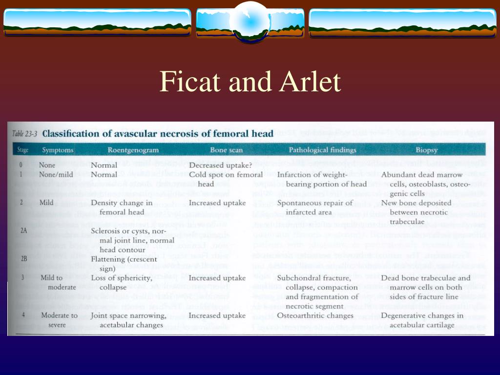 PPT - AVN of the Femoral Head PowerPoint Presentation, free download ...