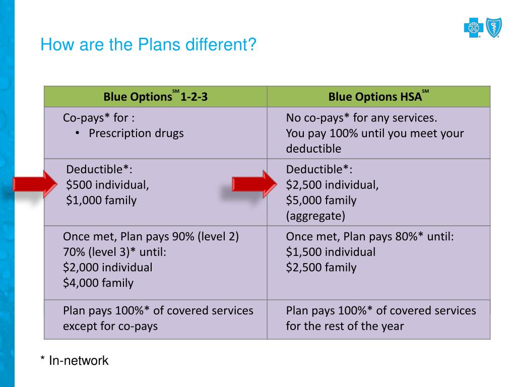 PPT - Meredith College – Comparing Blue Options 1-2-3 and Blue Options ...