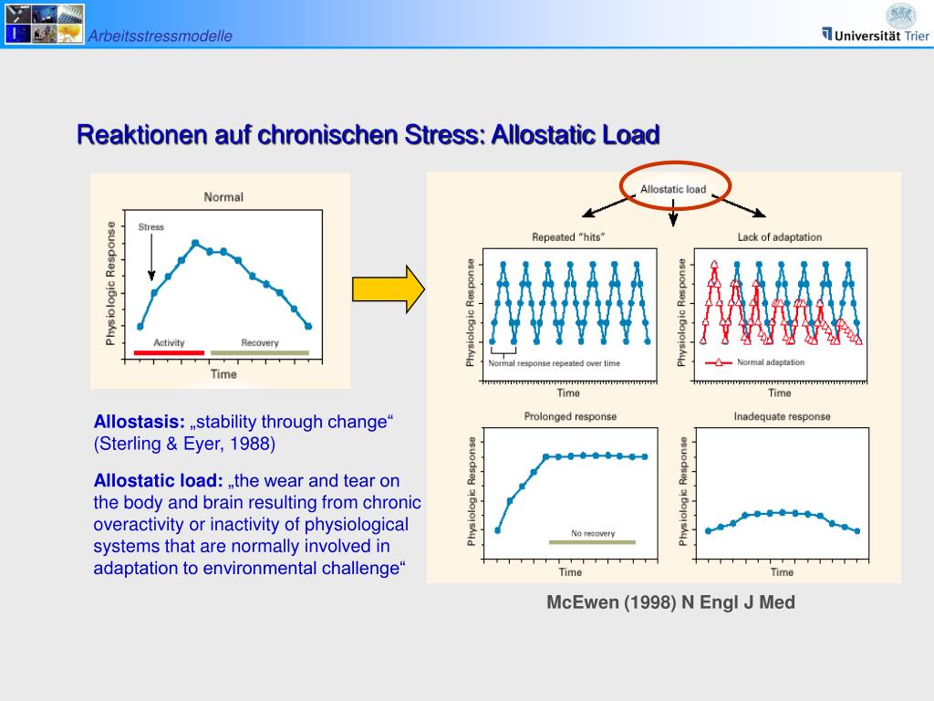 PPT - Arbeitsstressmodelle „Stress at Work meets Biopsychology ...