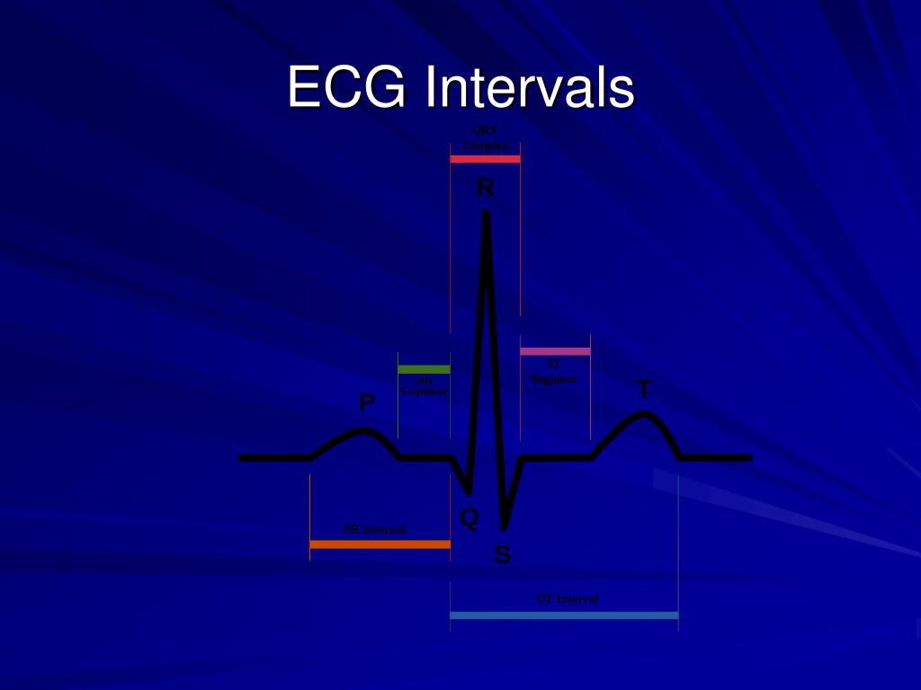 PPT - Cardiac Pathology in Athletes: Sudden Death in Young People ...