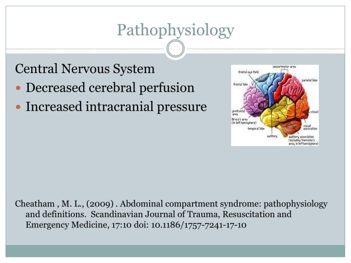 PPT - Abdominal Compartment Syndrome PowerPoint Presentation - ID:3316849