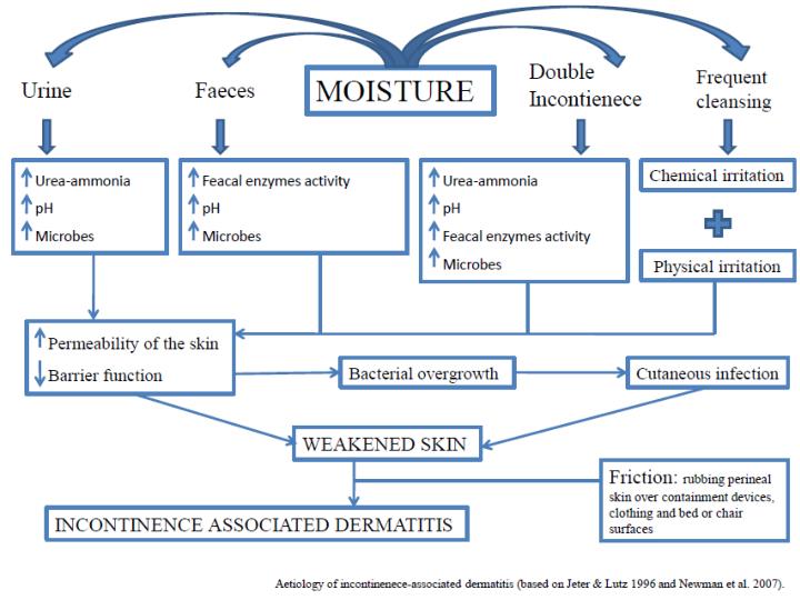 PPT - Incontinence-Associated Dermatitis ( IAD ) PowerPoint ...