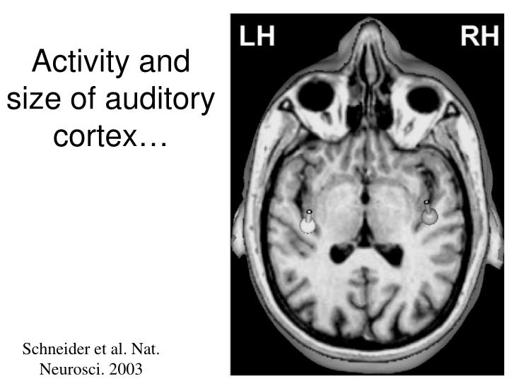 PPT - Plasticity in sensory systems PowerPoint Presentation - ID:3317147