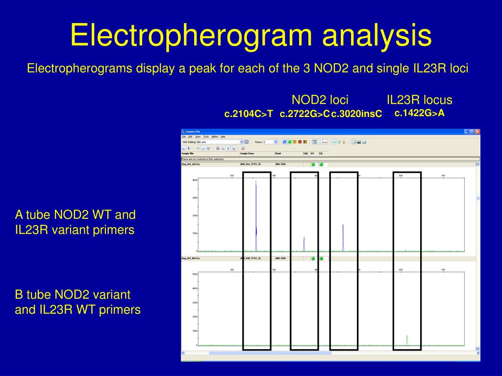 PPT - Evaluation of the genetic impact on inflammatory bowel disease ...