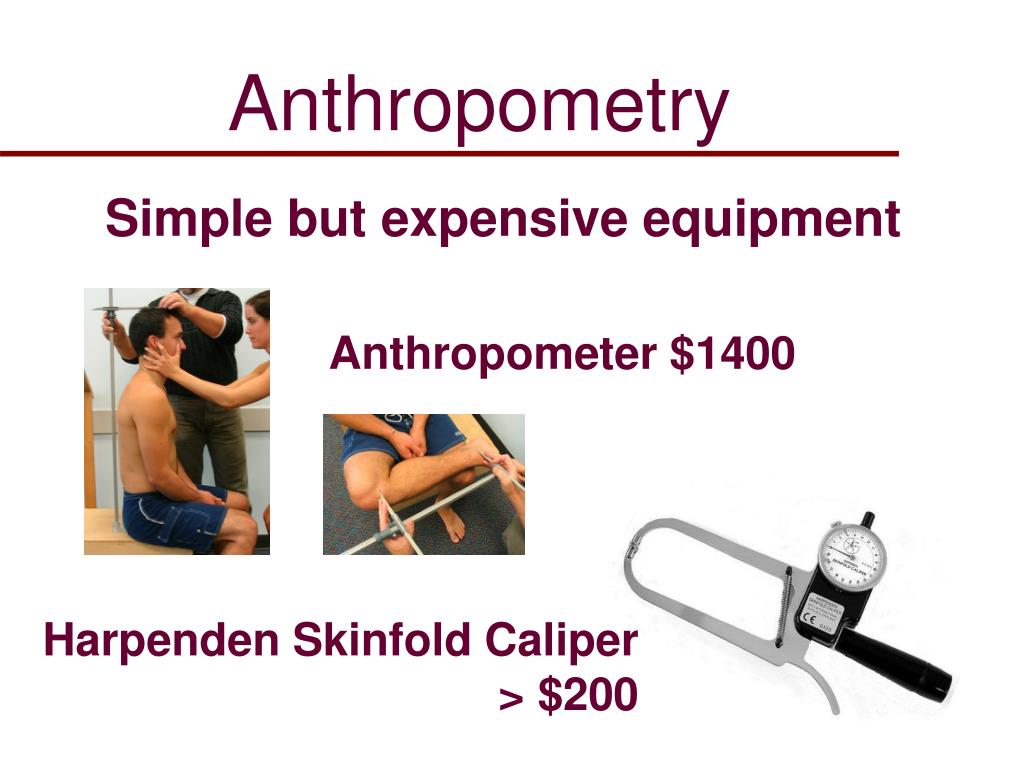 PPT - BPK 303 Kinanthropometry Spring 2014 Instructor: Dr. Richard Ward ...