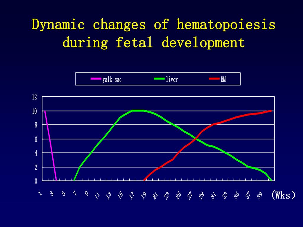 PPT - Childhood hematopoiesis and hematological features PowerPoint ...