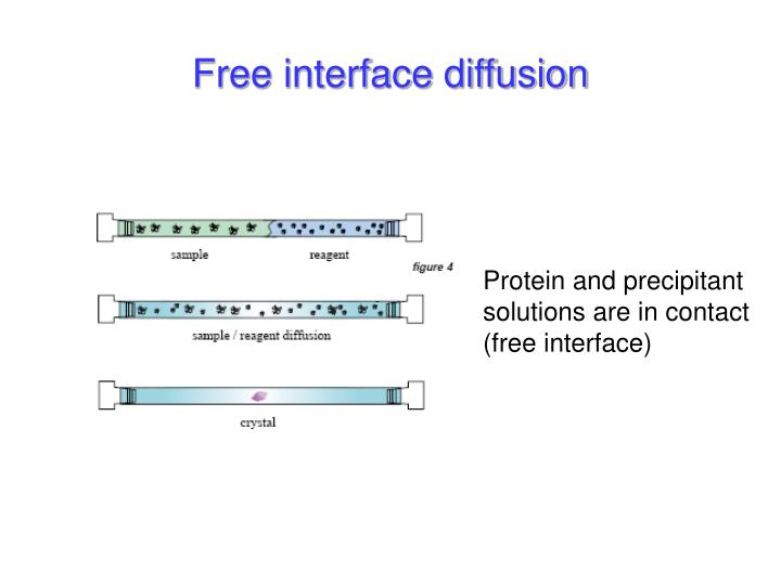 PPT - Protein Purification & Crystallization PowerPoint Presentation ...