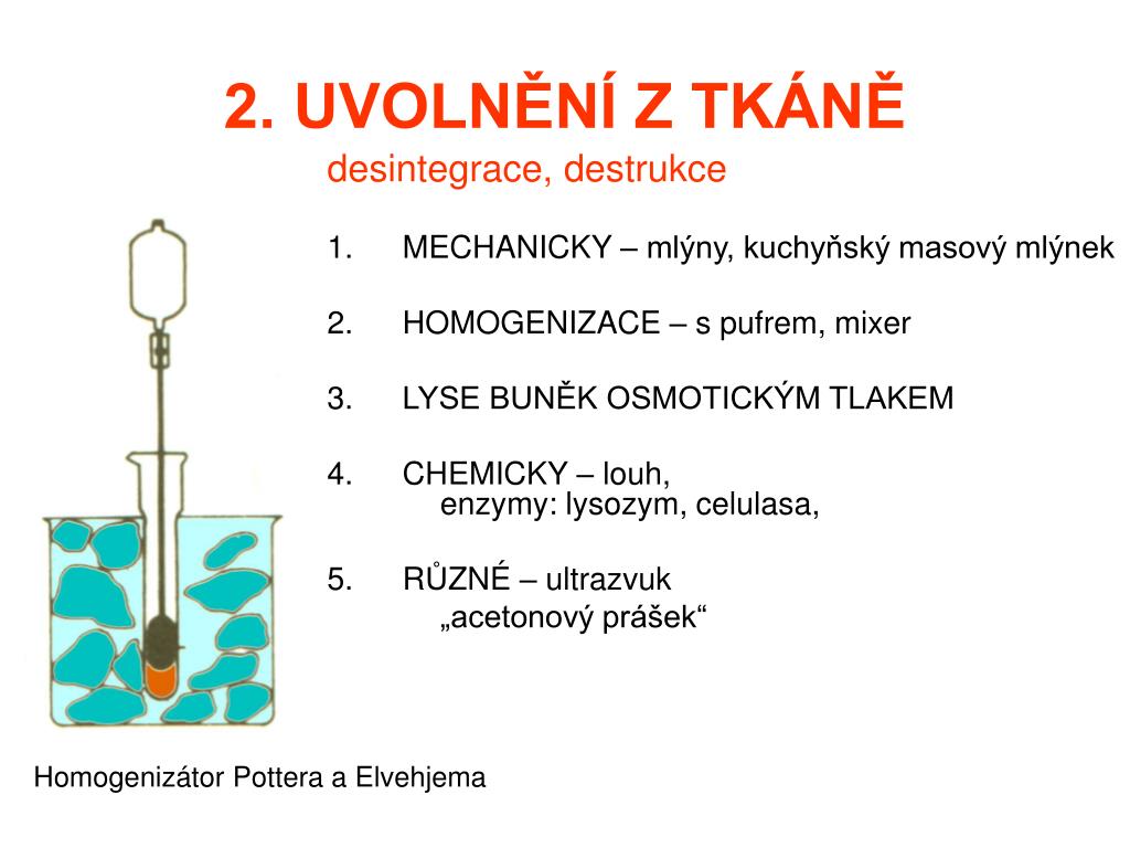 PPT - DĚLICÍ METODY I. – úvod PowerPoint Presentation, free download ...