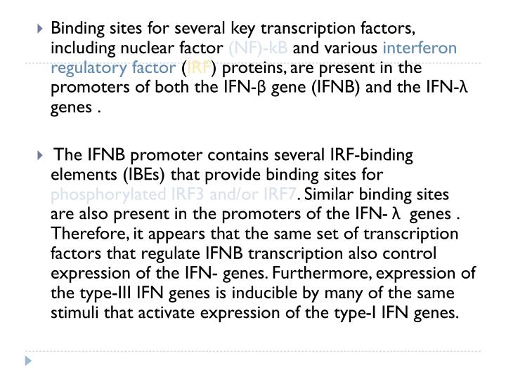PPT - Biological functions induced by IFN- λ PowerPoint Presentation ...