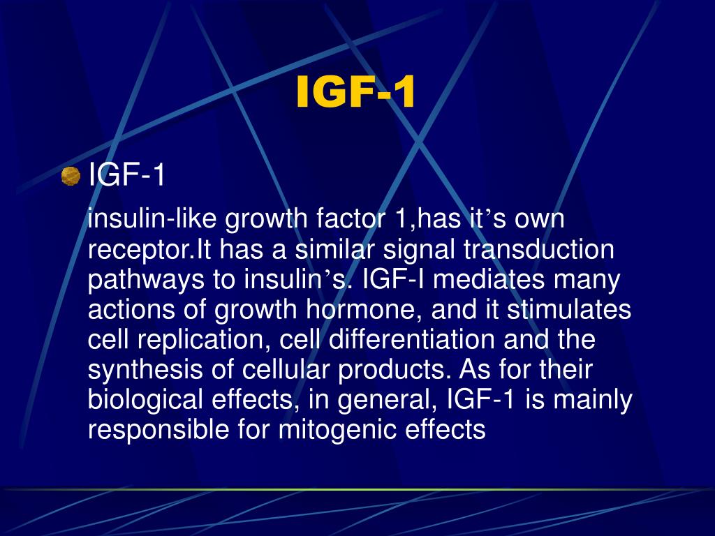 PPT - Regulation of protein phosphorylation by insulin/IGF-1 PowerPoint ...