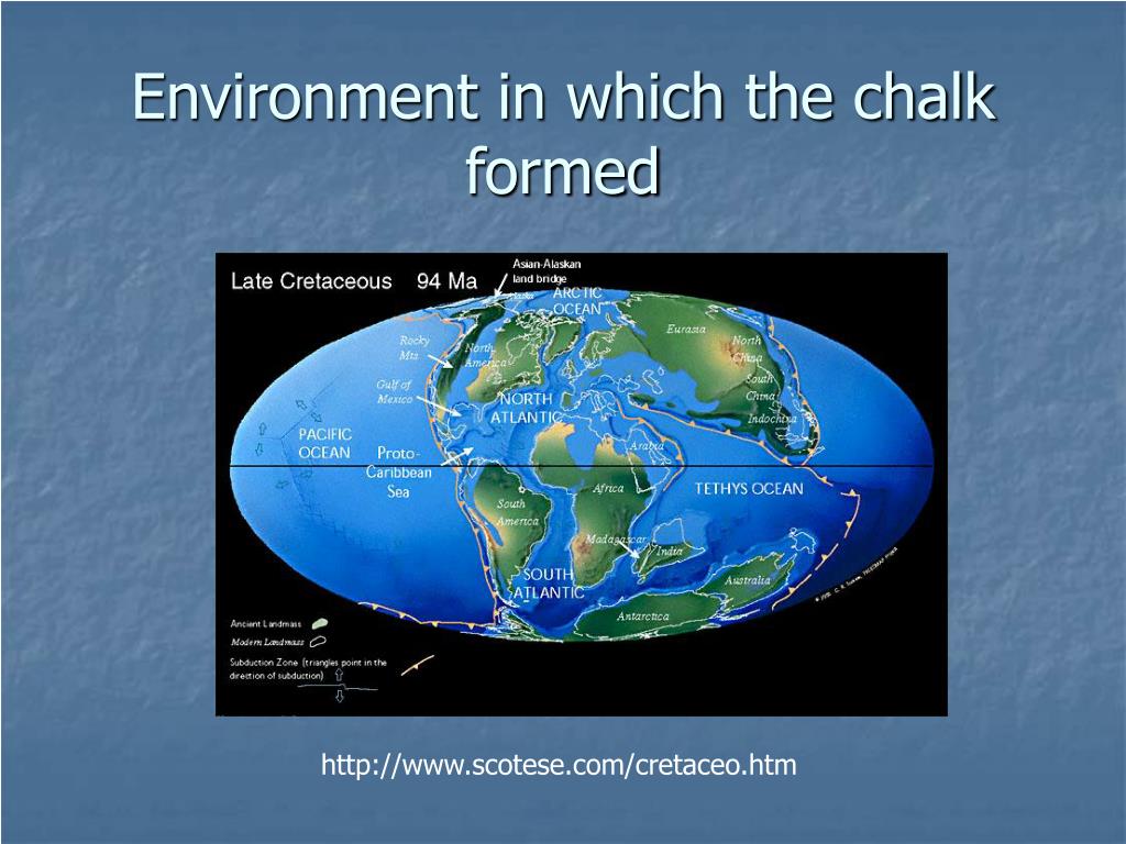 PPT - The Cretaceous Chalk in Southern England By Brieanna Graham ...