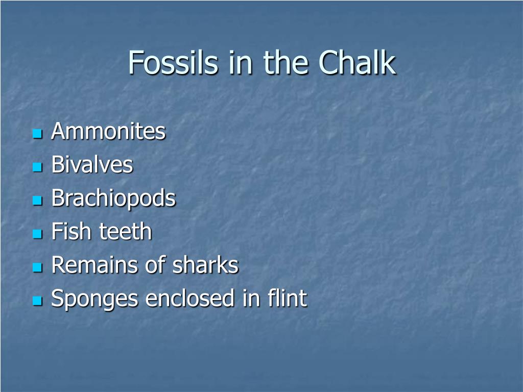 PPT - The Cretaceous Chalk in Southern England By Brieanna Graham ...