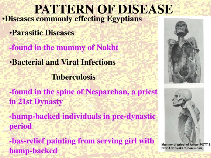 PPT - MEDICINE IN ANCIENT EGYPT PowerPoint Presentation - ID:3318674