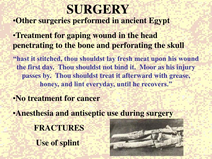 PPT - MEDICINE IN ANCIENT EGYPT PowerPoint Presentation - ID:3318674