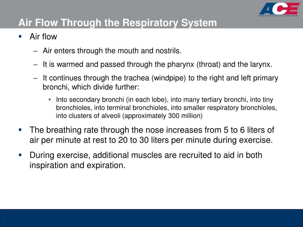 PPT - ACE’s Essentials of Exercise Science for Fitness Professionals ...