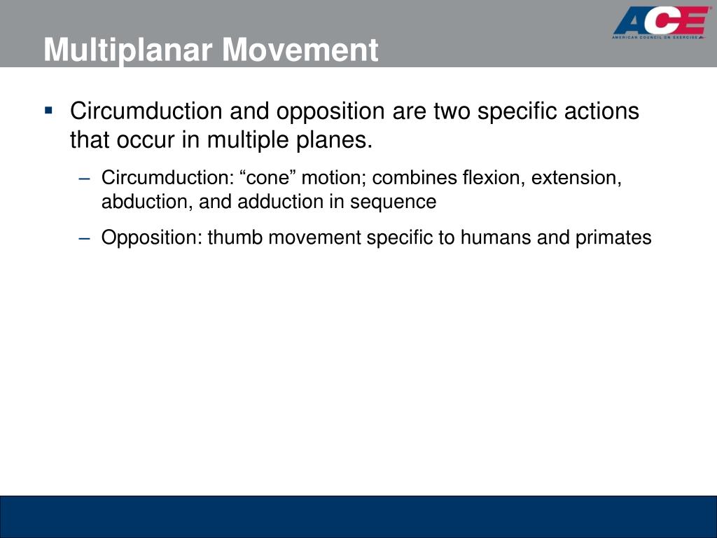 PPT - ACE’s Essentials of Exercise Science for Fitness Professionals ...