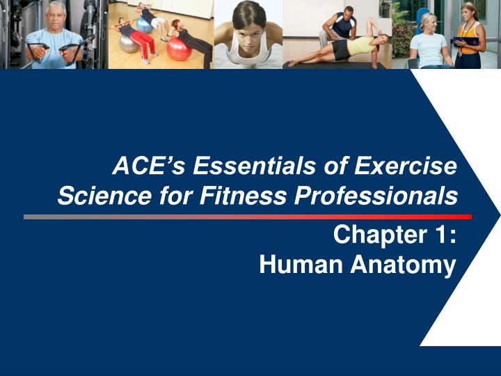 PPT - ACE’s Essentials of Exercise Science for Fitness Professionals ...