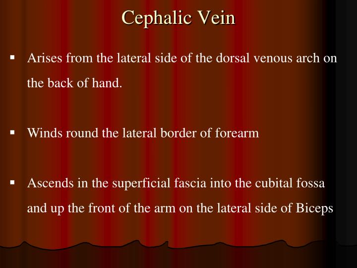 PPT - Blood Supply of the Upper Limb PowerPoint Presentation - ID:3321158