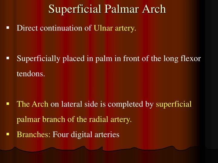 PPT - Blood Supply of the Upper Limb PowerPoint Presentation - ID:3321158