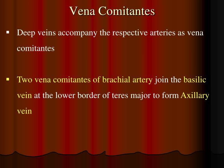 PPT - Blood Supply of the Upper Limb PowerPoint Presentation - ID:3321158