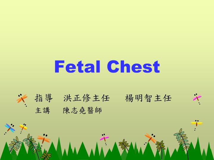 PPT - Fetal Chest PowerPoint Presentation, free download - ID:3321313