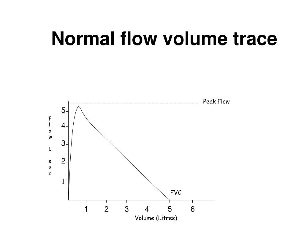 PPT - Maggie Harris Independent Respiratory Nurse Specialist ...