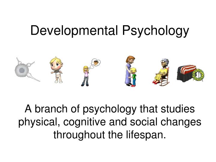 PPT - Developmental Psychology PowerPoint Presentation, free download ...