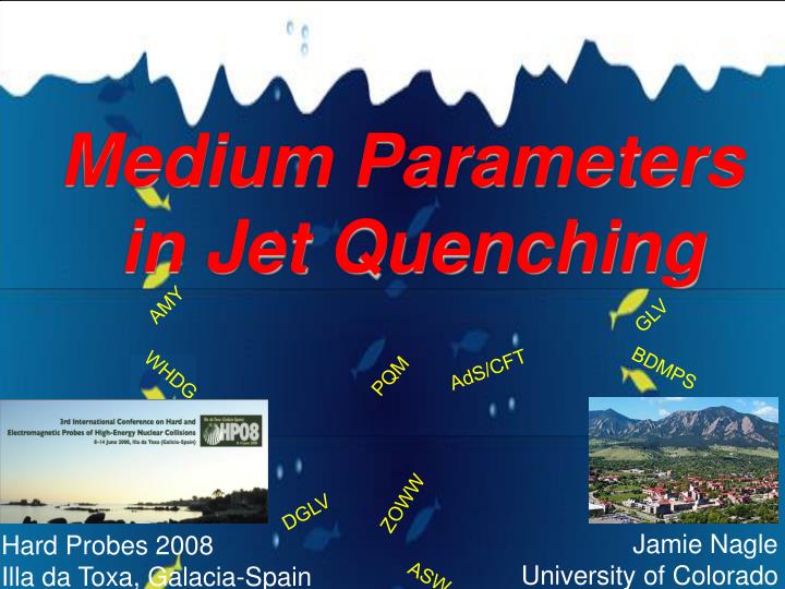 PPT - Jamie Nagle University of Colorado PowerPoint Presentation, free ...