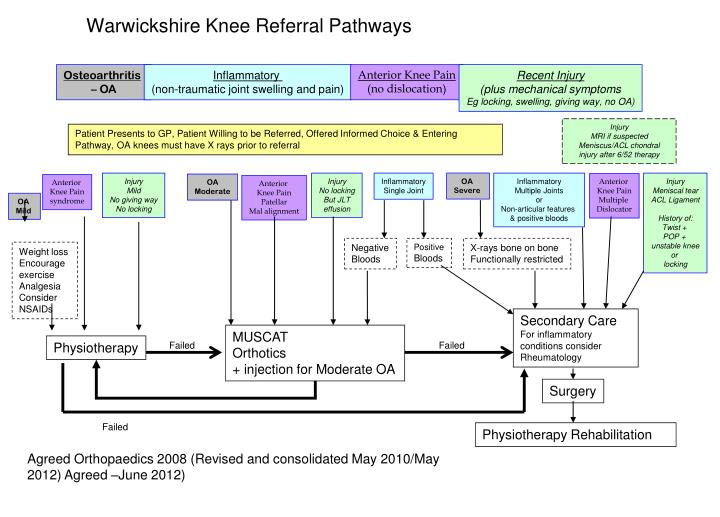 PPT - Warwickshire Knee Referral Pathways PowerPoint Presentation, free ...