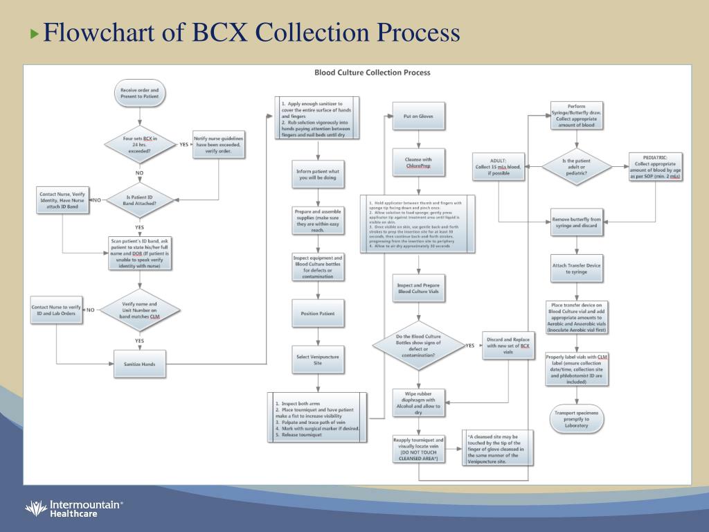 PPT - Reduction of Blood Culture Contamination Rates at UVRMC ...