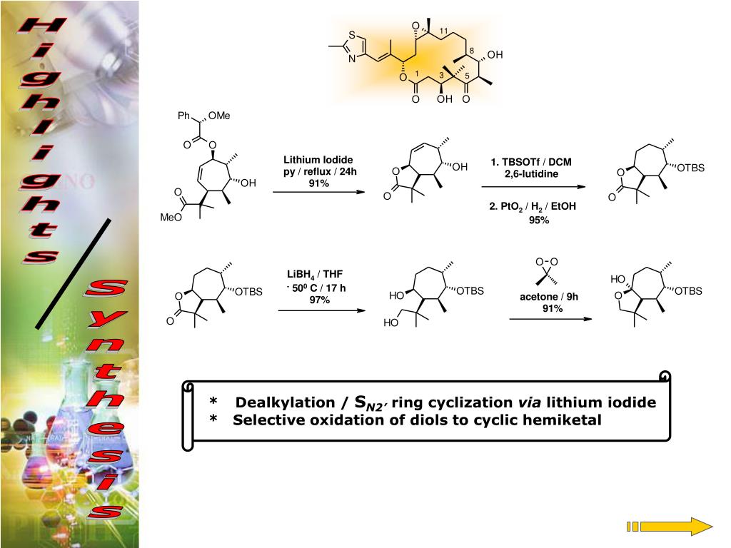 PPT - The Chemistry of Prof. Paul A. Grieco Montana State University ...