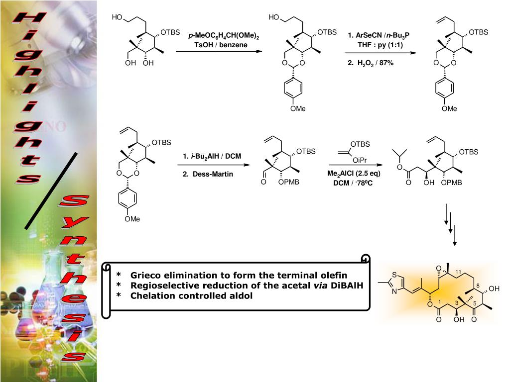 PPT - The Chemistry of Prof. Paul A. Grieco Montana State University ...