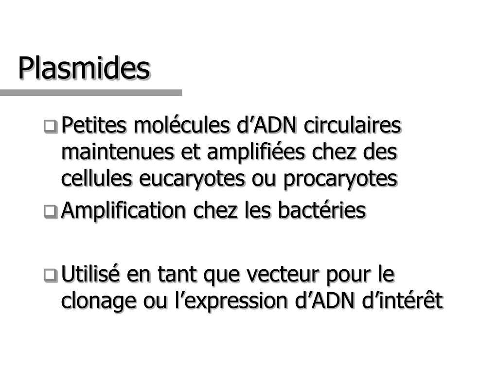 PPT - Biologie Moléculaire PowerPoint Presentation, free download - ID ...
